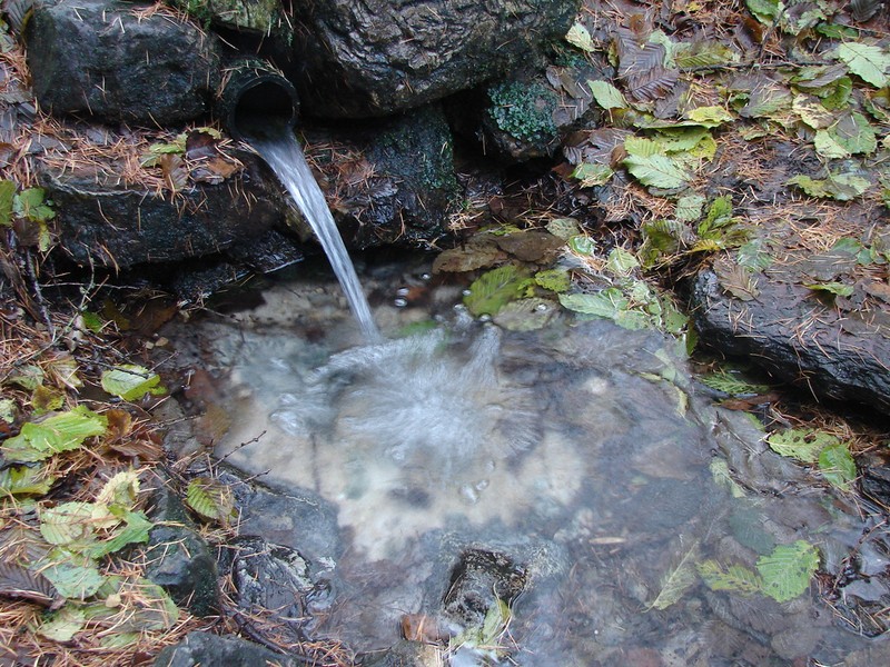 Horace (65-8 av. J.-C.) : La source de Bandusie « Écrire, lire, traduire